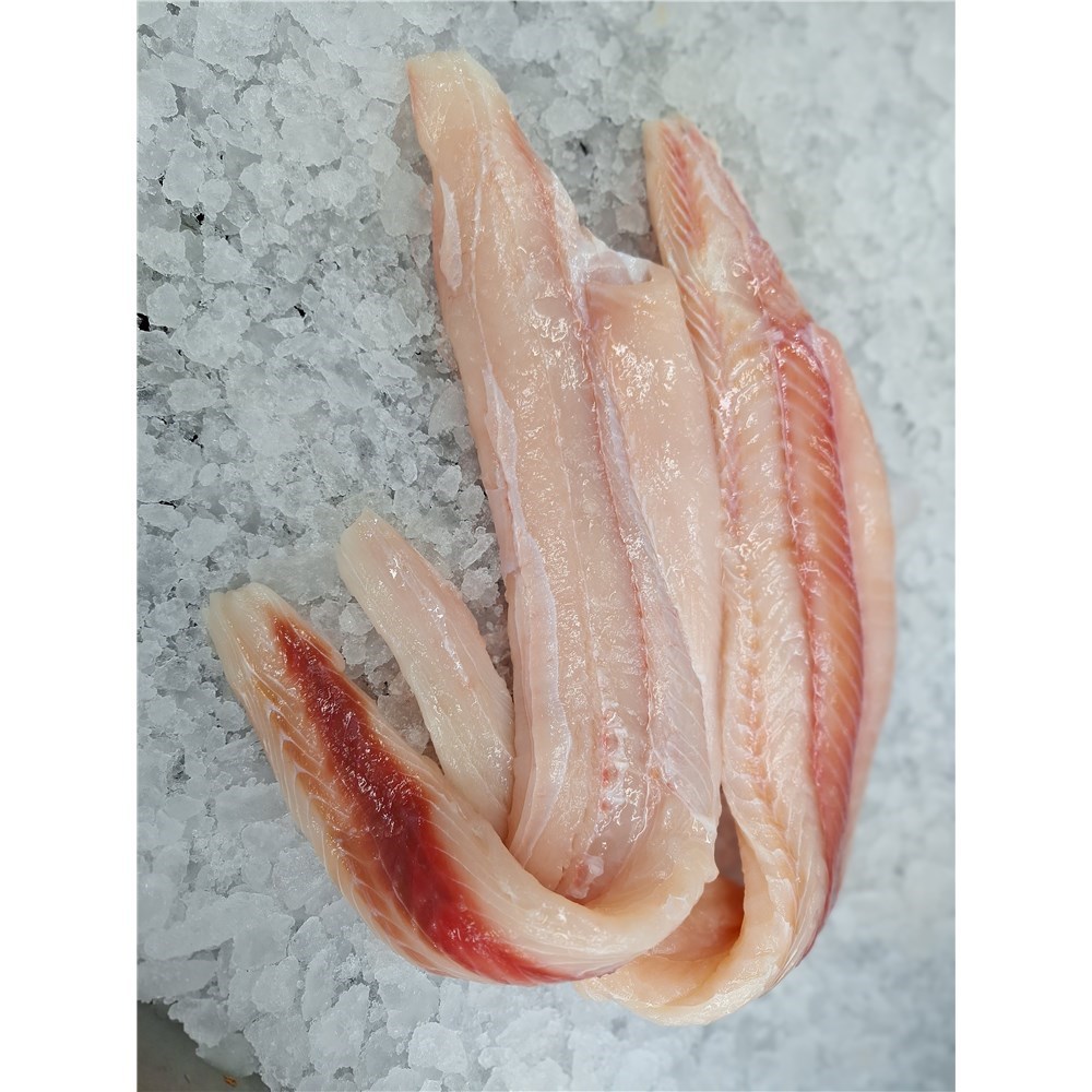 South Australia Gummy Shark - Local - Alpha Seafoods - Alpha Seafoods